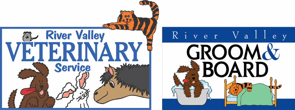 Best Vet Clinic In Prior Lake, MN | River Valley Veterinary Service